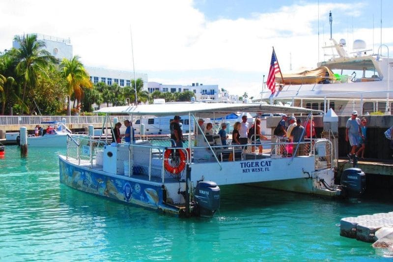 Shark and Wildlife Viewing Adventure in Key West - Florida Marvels